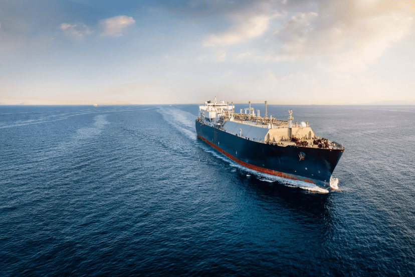 Import: Definition, Example, Tips and More