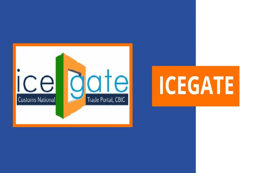 How to Track ICEGATE Shipping Bill Status?